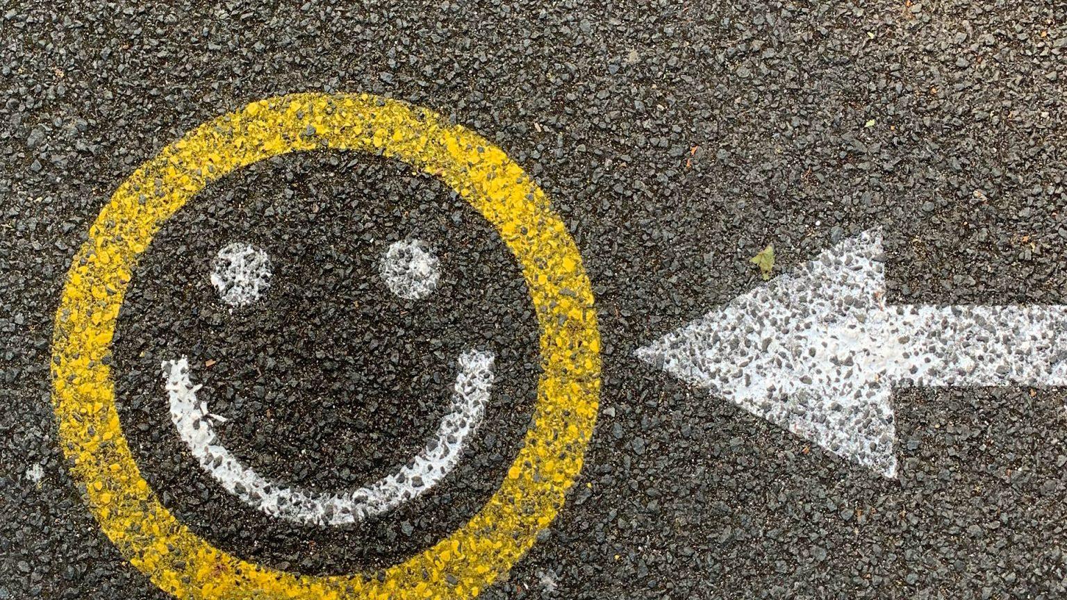 Is NPS Bad For You? — WXO