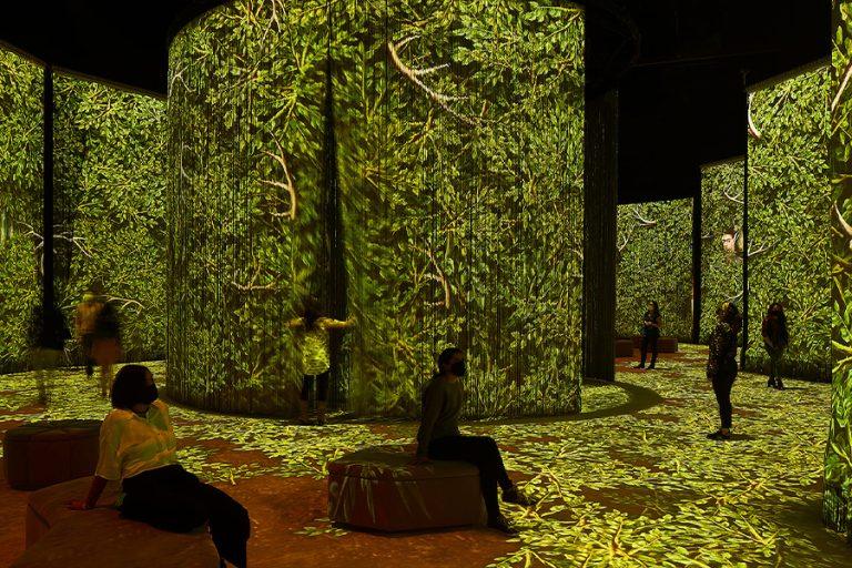 Inspiring Transformation Through Cultural Experience — WXO